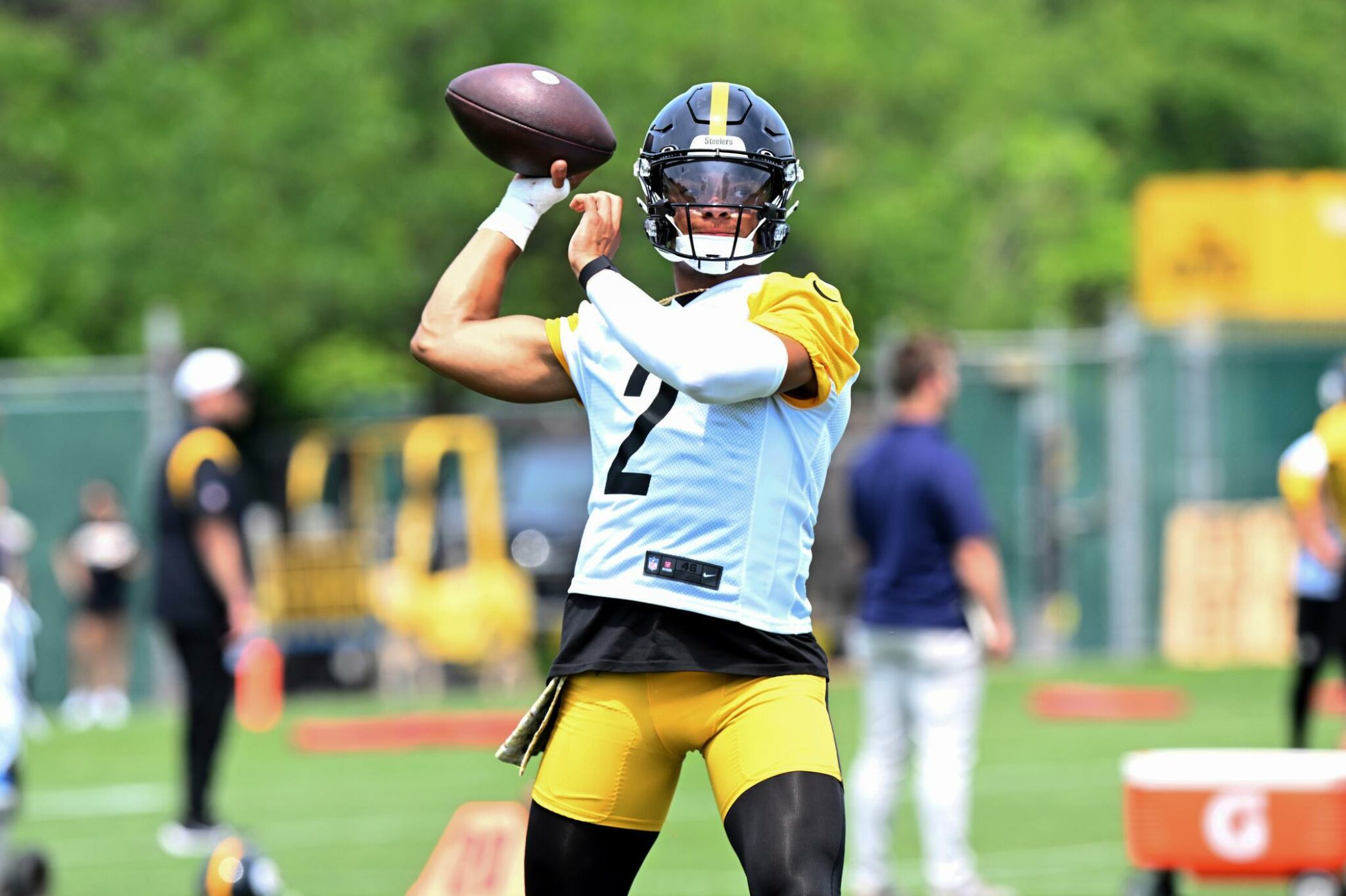 Roto Street Journal - Breeding & Feeding Fantasy Football Wolves