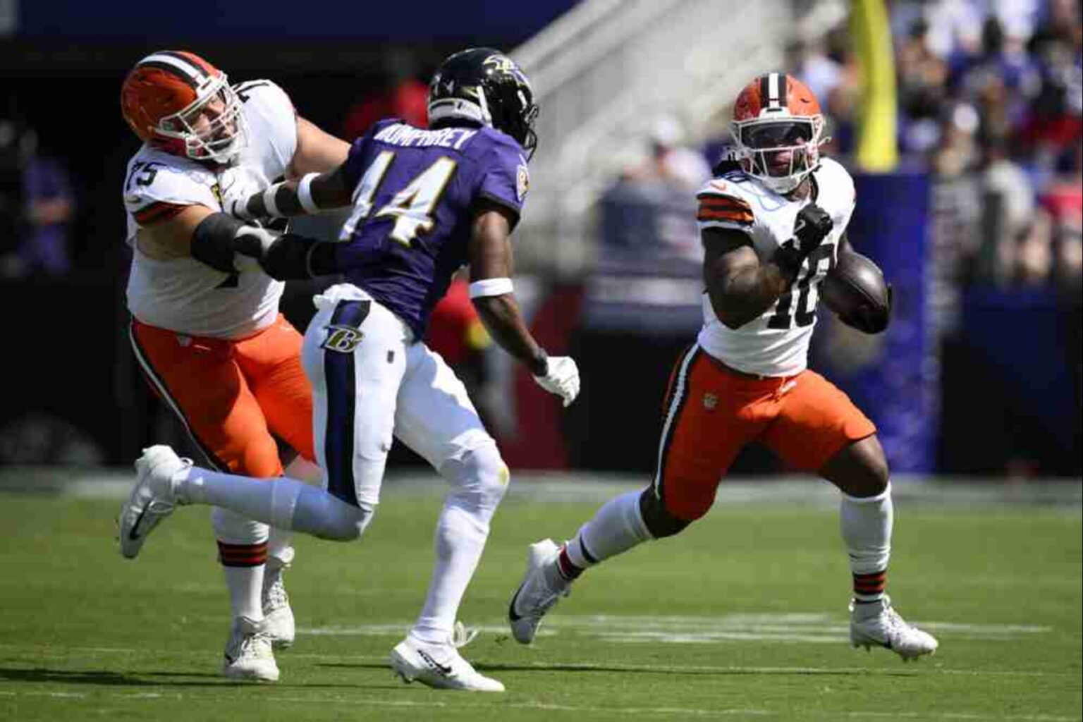 Roto Street Journal - Breeding & Feeding Fantasy Football Wolves